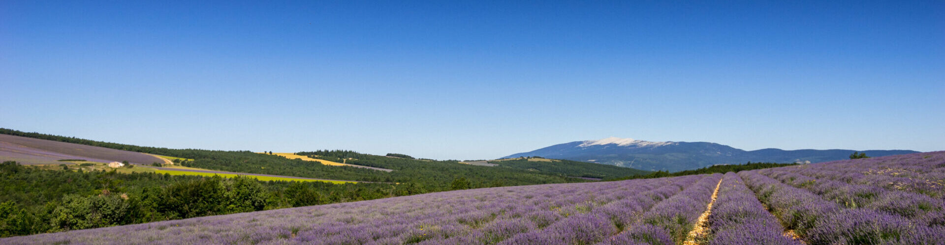 Qualité & RSE - SCA3P