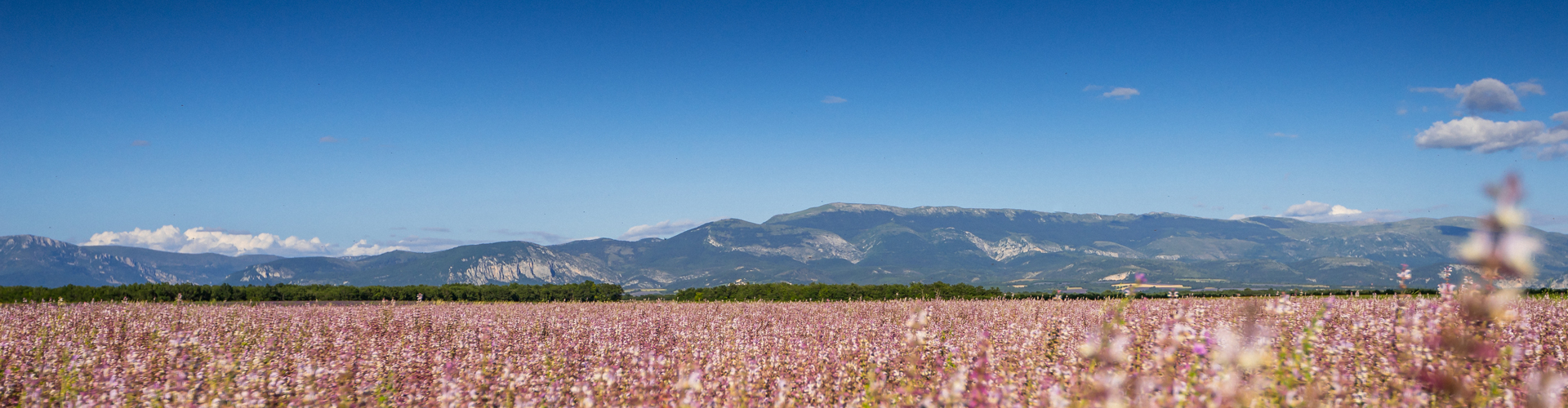 Contactez SCA3P – Demande de Cotation et Informations