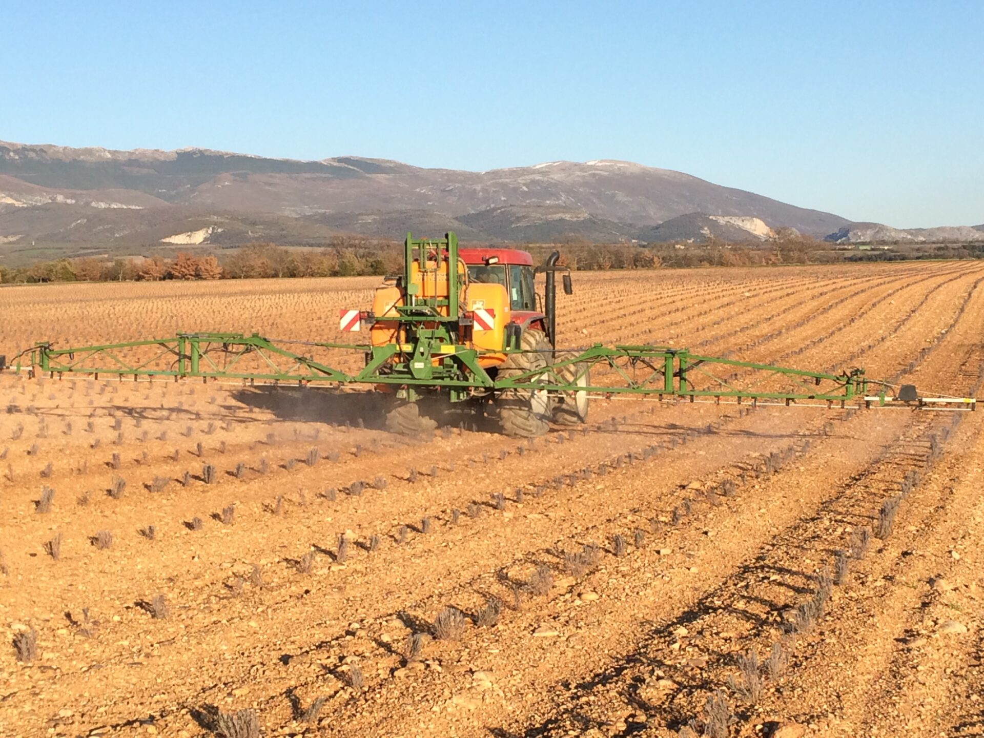 Les Travaux de Printemps - SCA3P